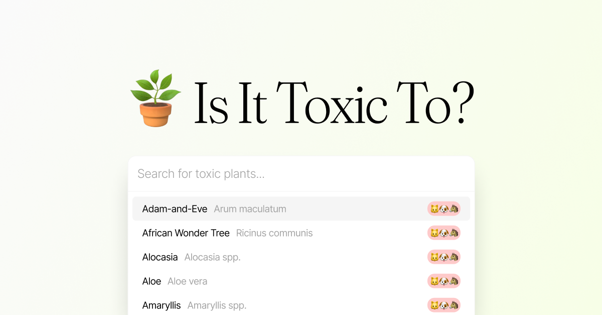 Is It Toxic To?